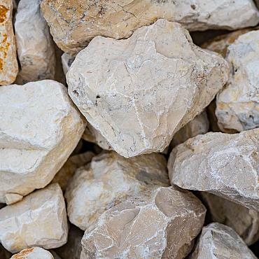 Yellow Sun 60-120 | Visser Weert